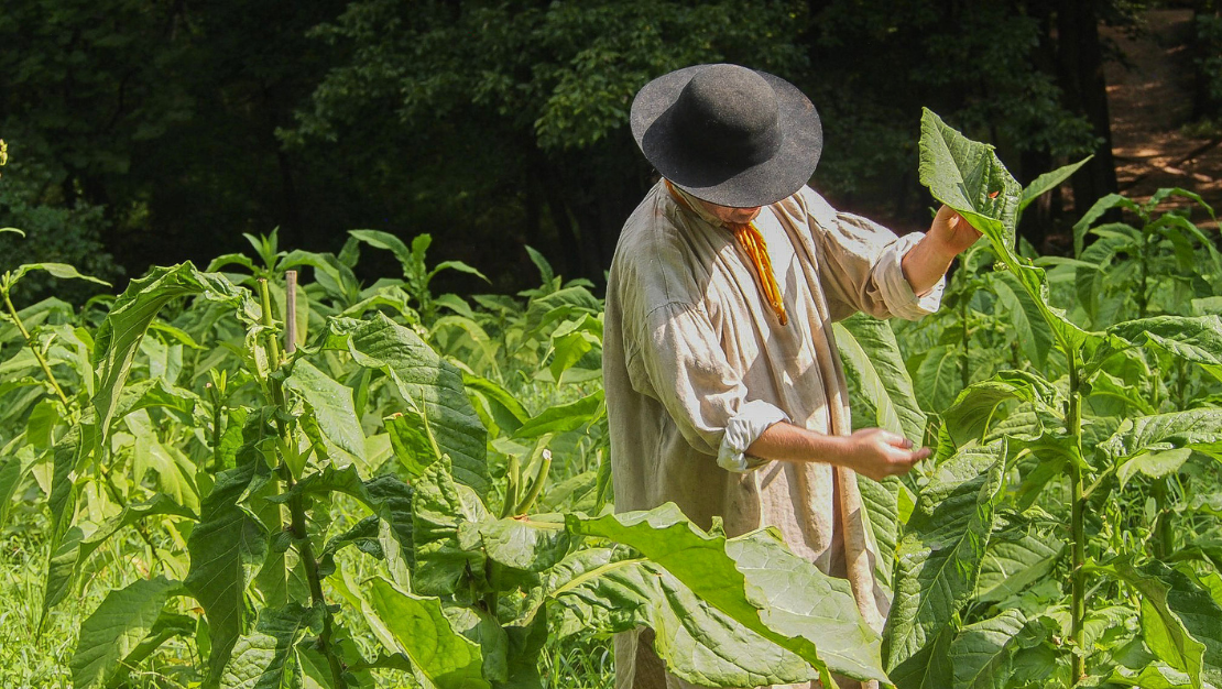 Best of Claude Moore Colonial Farm — Everhart Creative